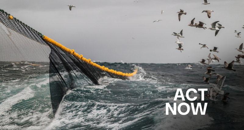 Ban bottom trawling! - WePlanet